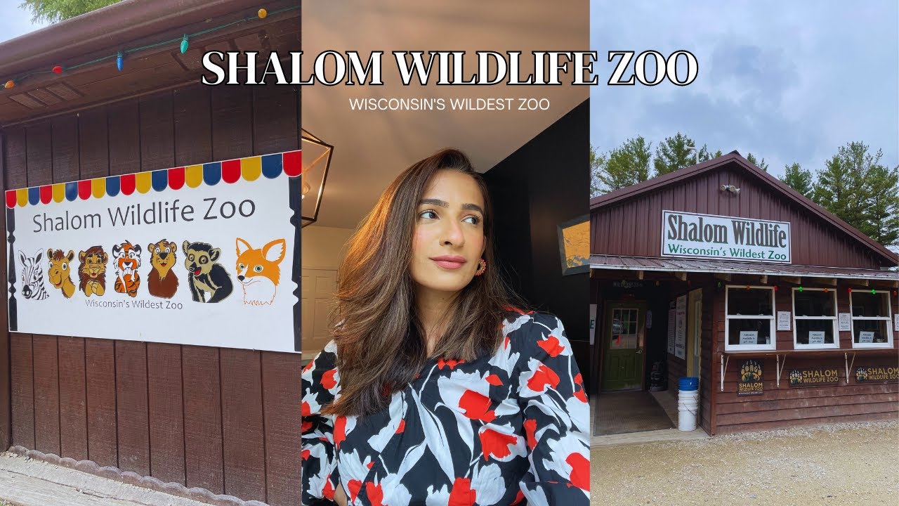 VLOG | Shalom Wildlife Zoo, Wisconsin's wildest zoo, wildlife sanctuary ...