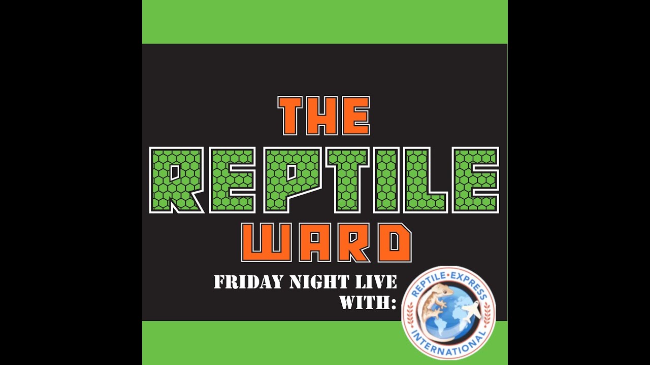 Friday Night Live #10 with Sam Fard from Reptile Express Intl! - YouTube