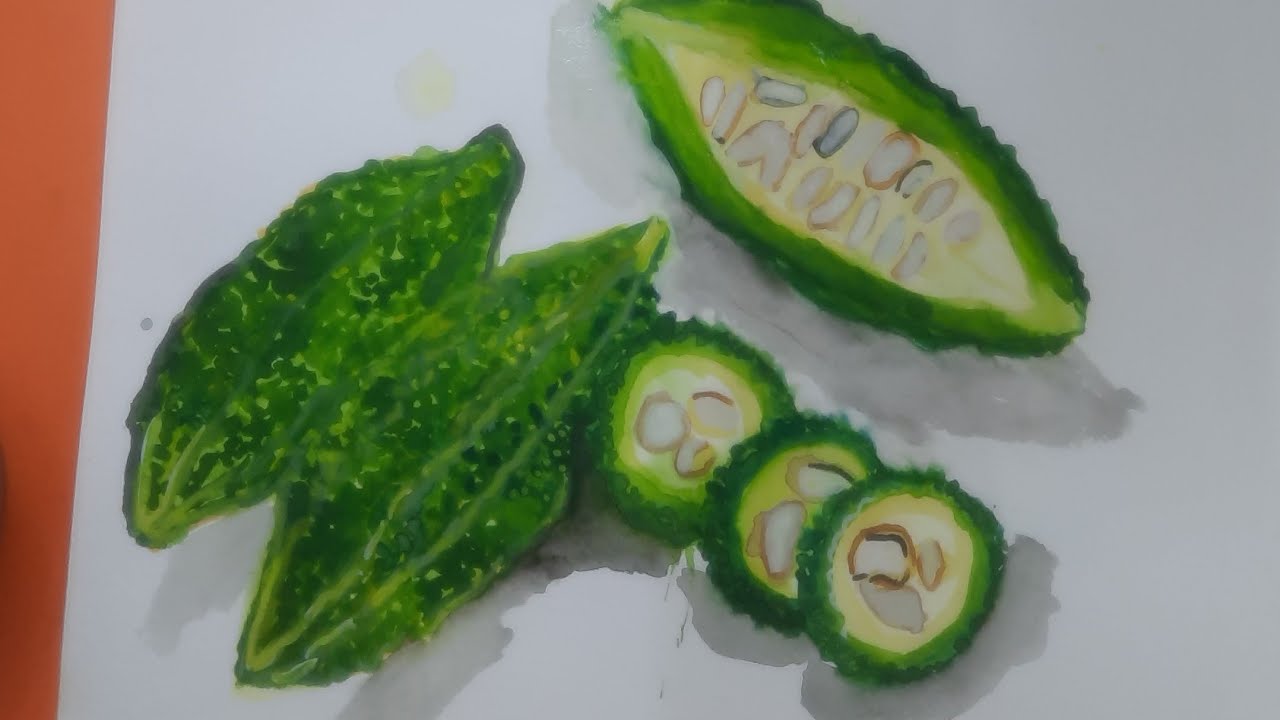 how to draw bitter gourd with watercolor #freehanddrawing - YouTube