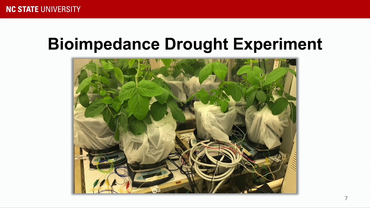 iBionicS Lab — Plants - YouTube