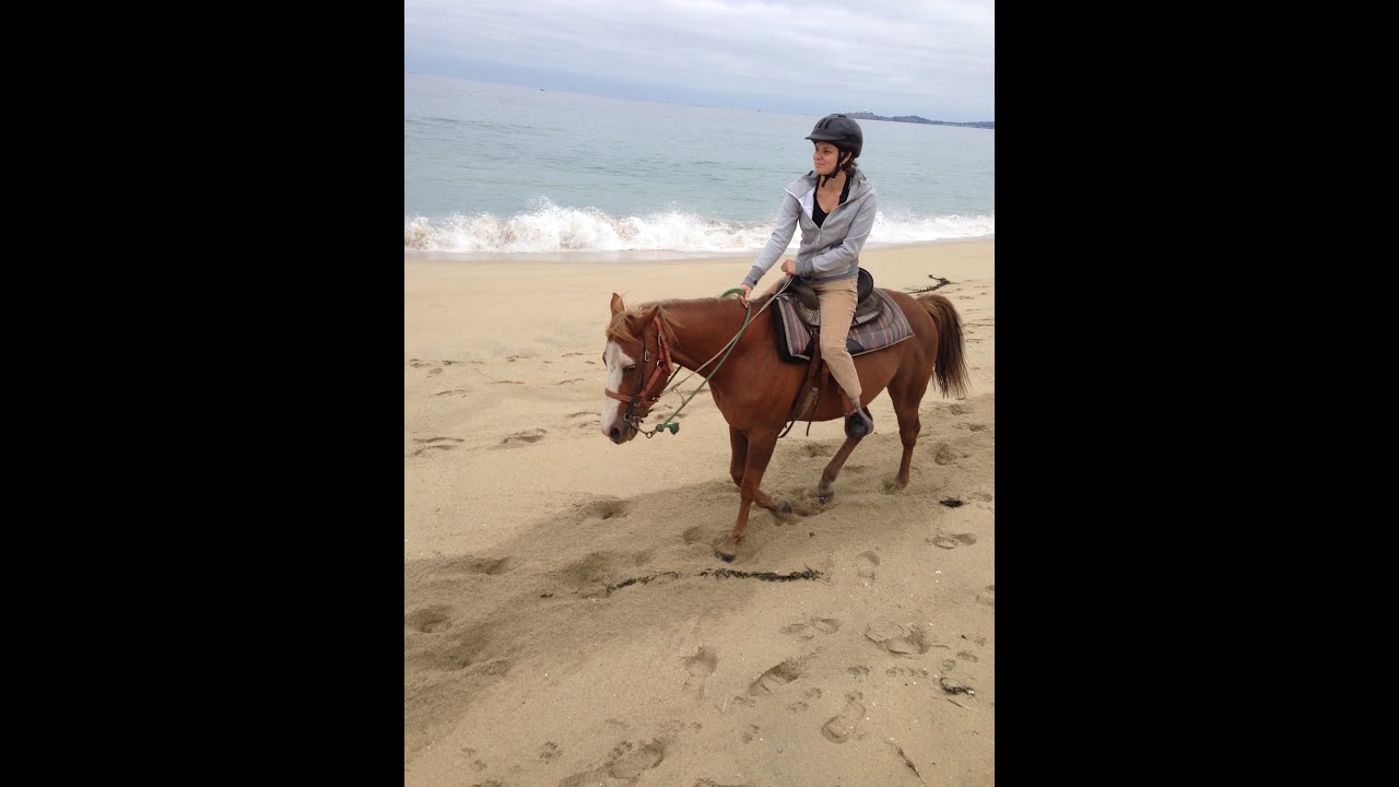 Horse Riding in California with GoPro | Катание на лошадях в Калифорнии ...