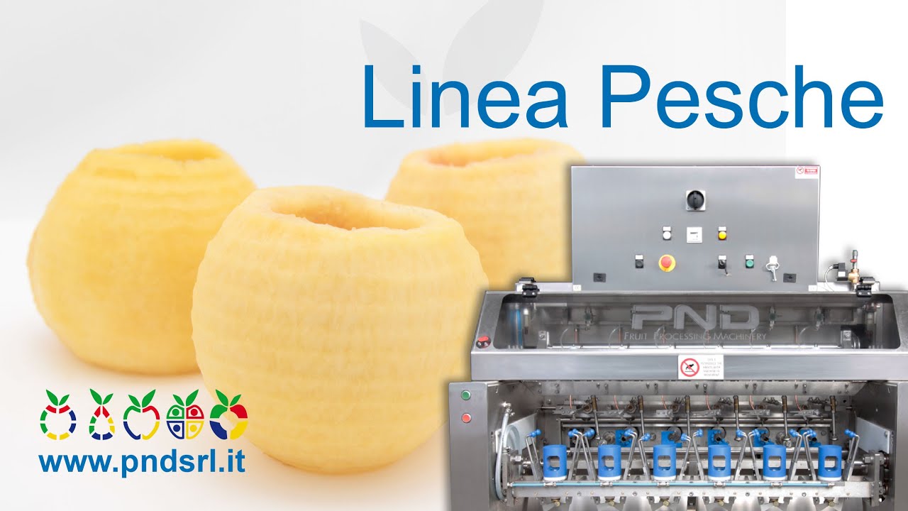 Peaches processing line - YouTube