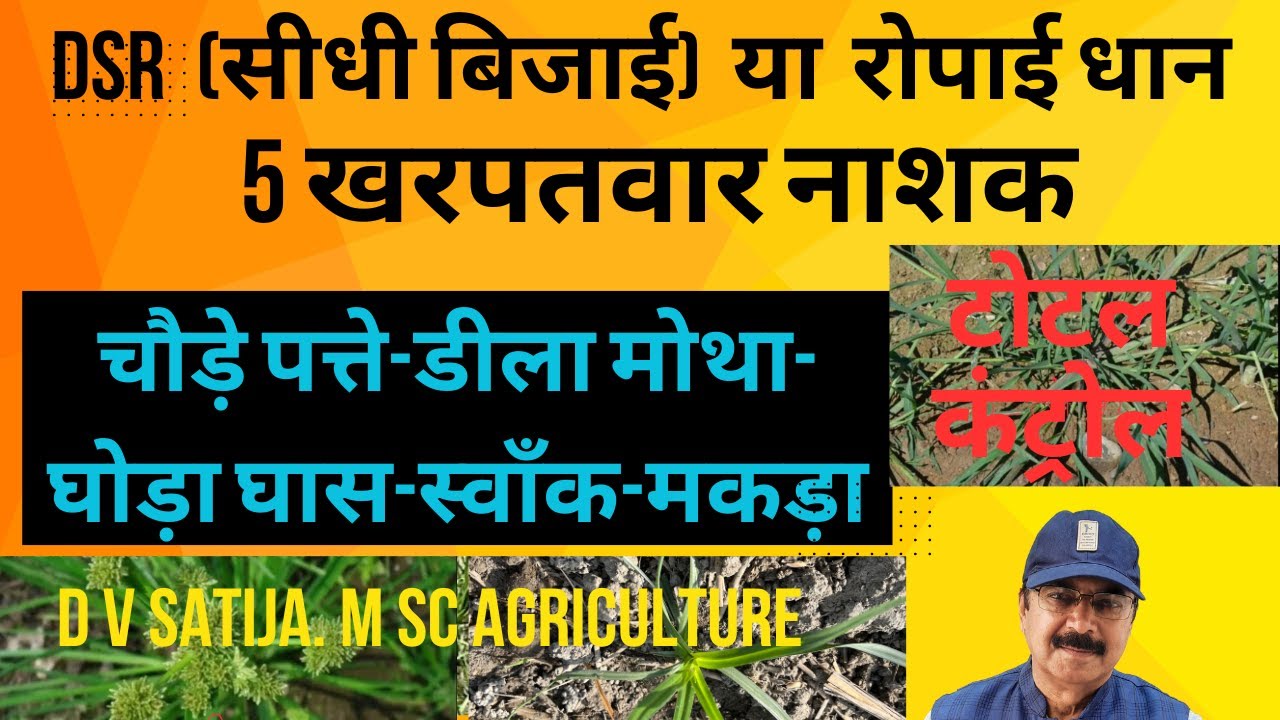 DSR weed control | सीधी व रोपाई धान में खरपतवार नाशक दवा | nominee gold ...