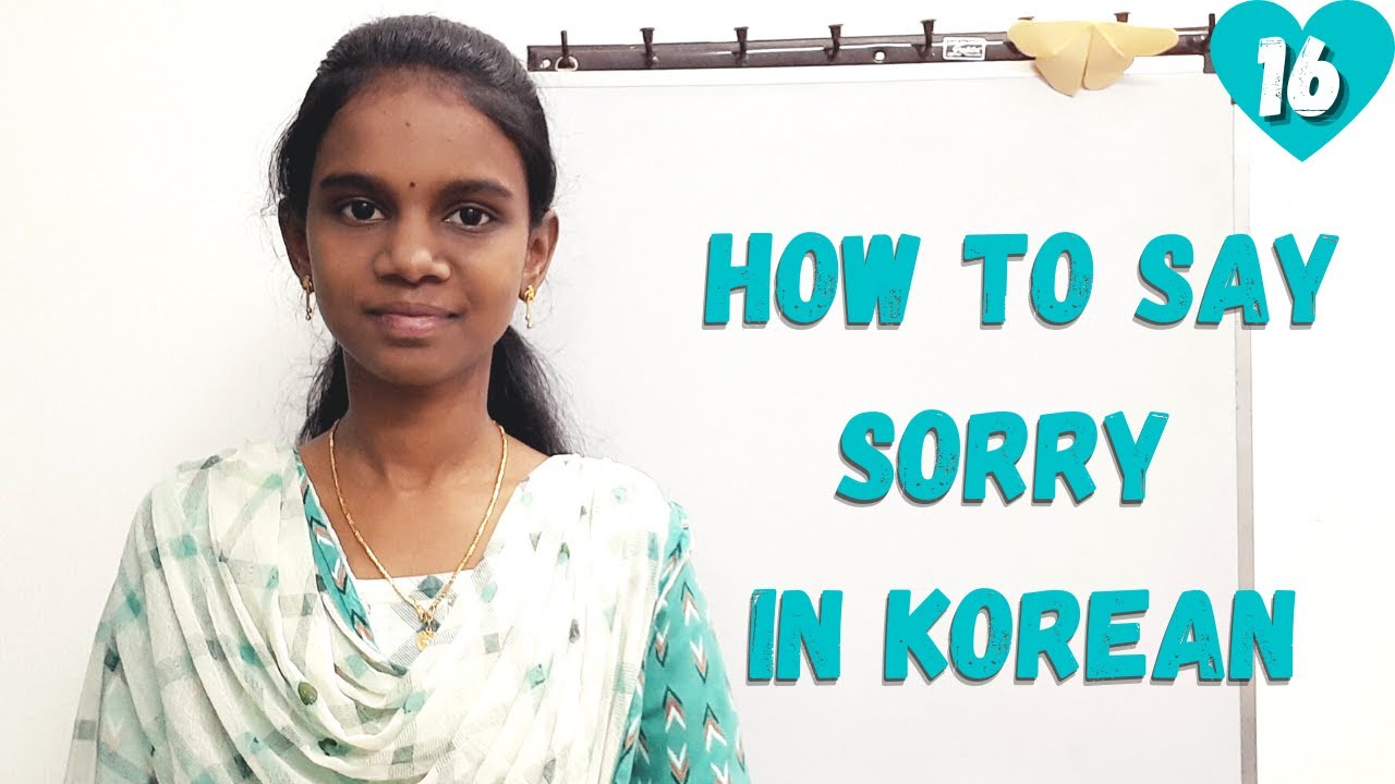 Lesson 16 How To Say Sorry In Korean Learn Korean Through Tamil lesson-16-how-to-say-sorry-in-korean-learn-korean-through-tamil