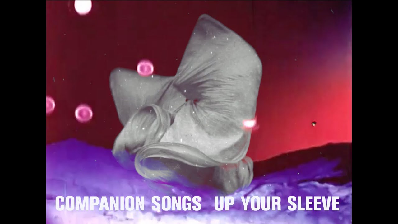 Companion Songs - Up Your Sleeve (Official Music Video) - YouTube