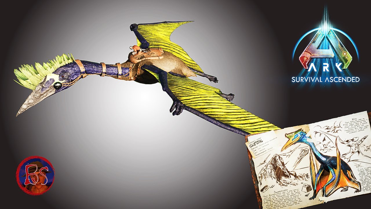 How to Tame a Quetzal and Creature Spotlight - YouTube