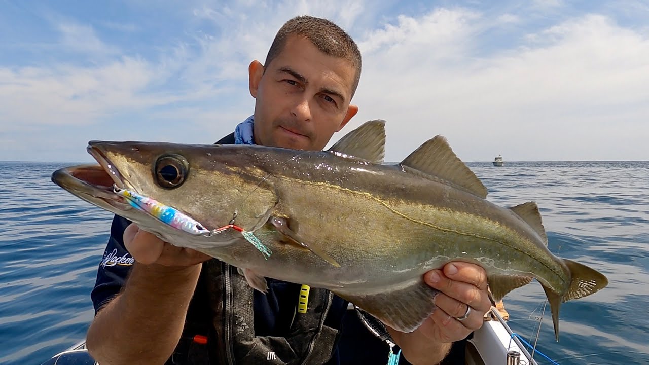 Sea Fishing UK - Awesome Day Sea Fishing in Cornwall | The Fish Locker ...