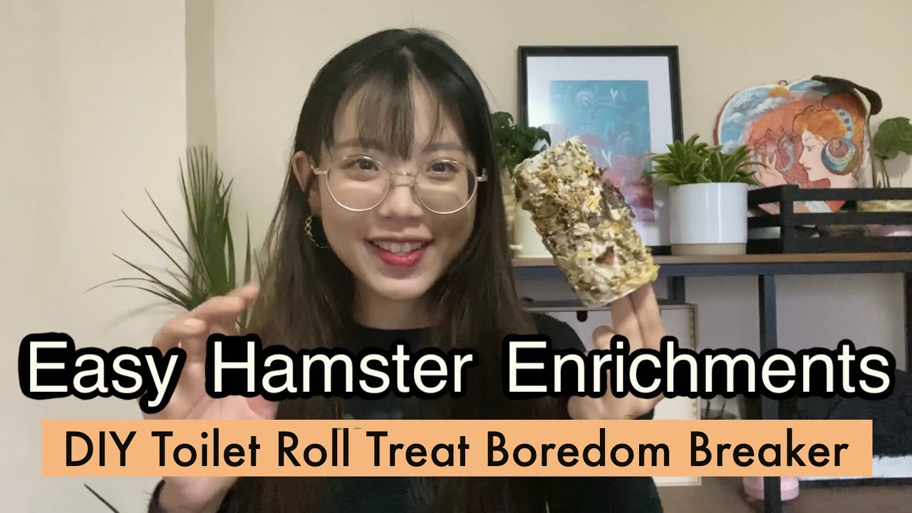 Easy Hamster Enrichments!! - DIY Forage Treat Toilet Roll Boredom ...