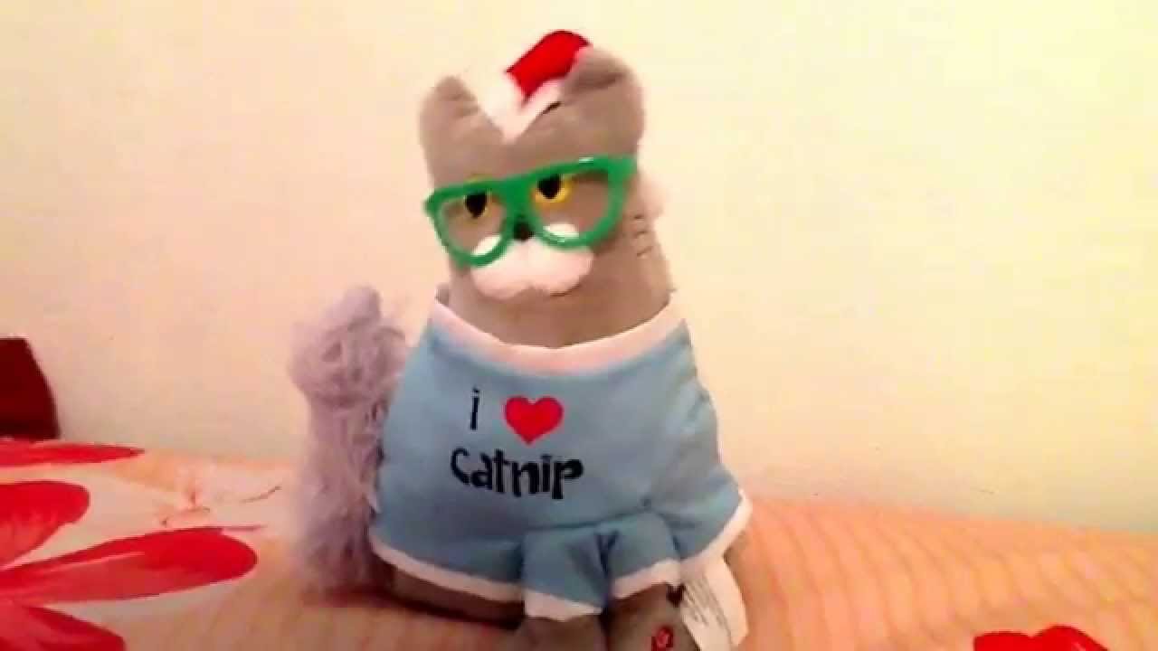 The Catnip song - YouTube