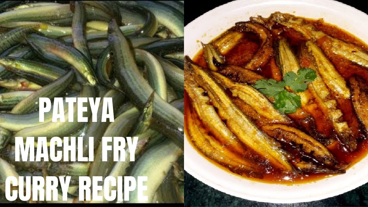 Pateya Machli Recipe | Little Eel Fish Recipe | Bam Fish 🐬🦈🐟| पाटेया ...