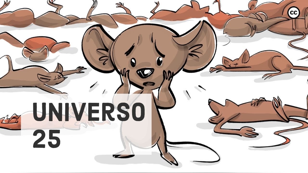 Os Experimentos Com Ratos do Universo 25 - YouTube