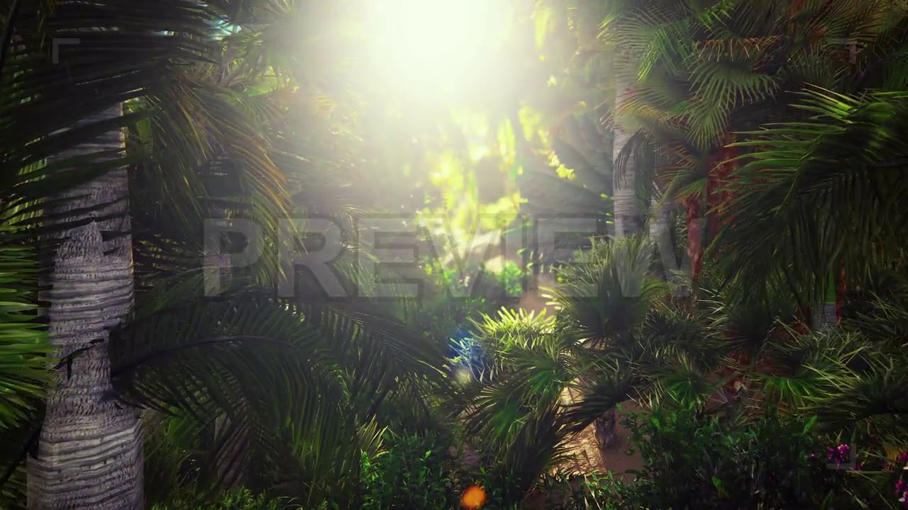 Green Jungle Stock Motion Graphics - YouTube