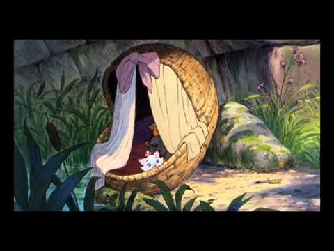 Коты аристократы