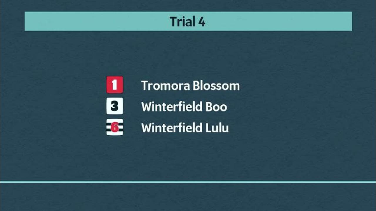Monmore Greyhounds Trials on 14th April 2023 - YouTube Monmore Greyhounds Trials on 14th April 2023 - YouTube