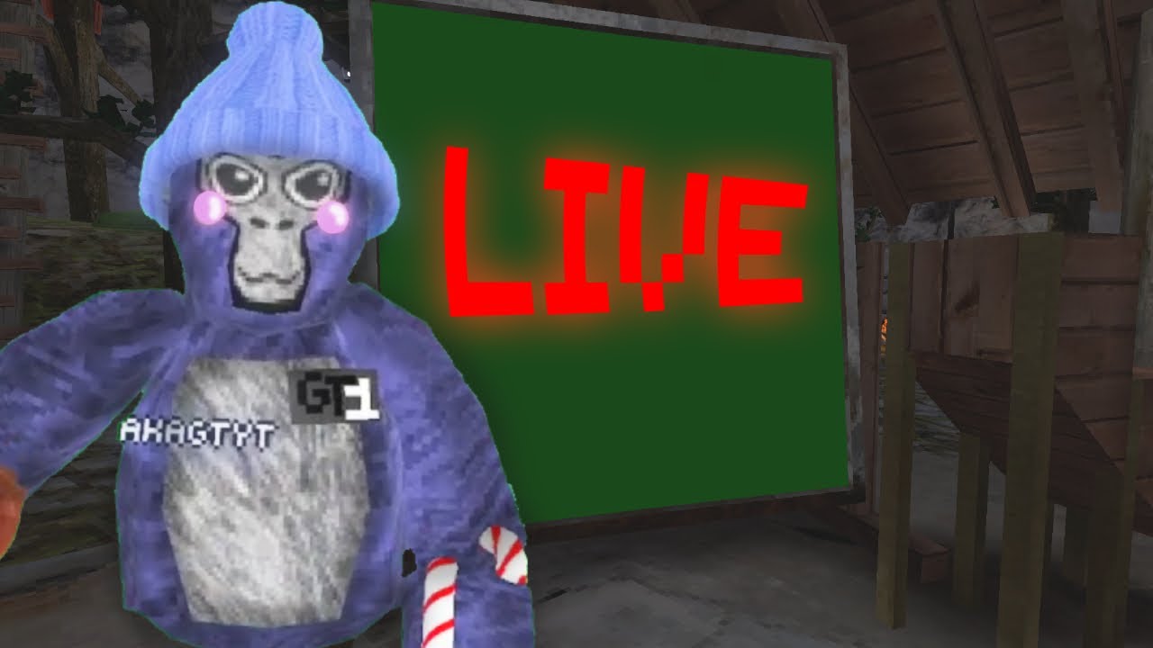 monke live stream - YouTube