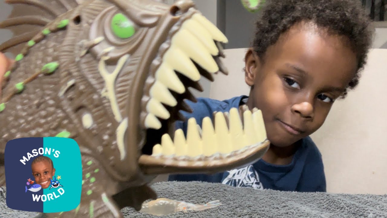 Deep Sea Creature fun - Giant isopod, Glass squid, Gulper eel, Black ...