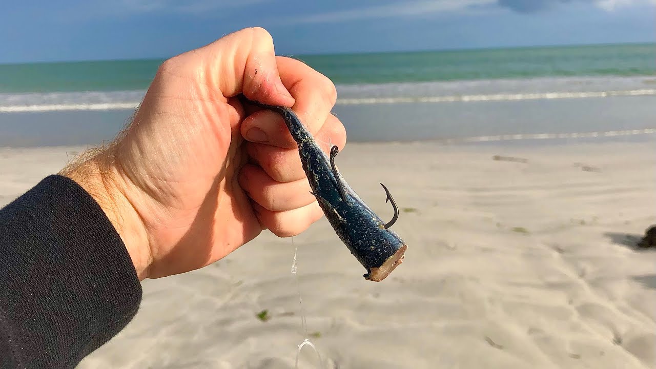 This Bait Will Always Catch Fish !?! Chasing a BIG Snapper Landbased EP ...