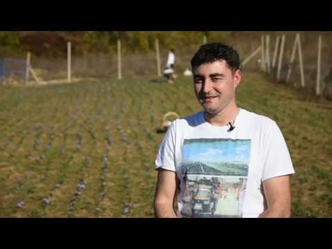 Prvi srpski ŠAFRAN