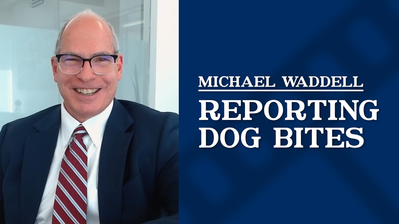 Dog bites and attacks in Kansas City | Michael Waddell - YouTube