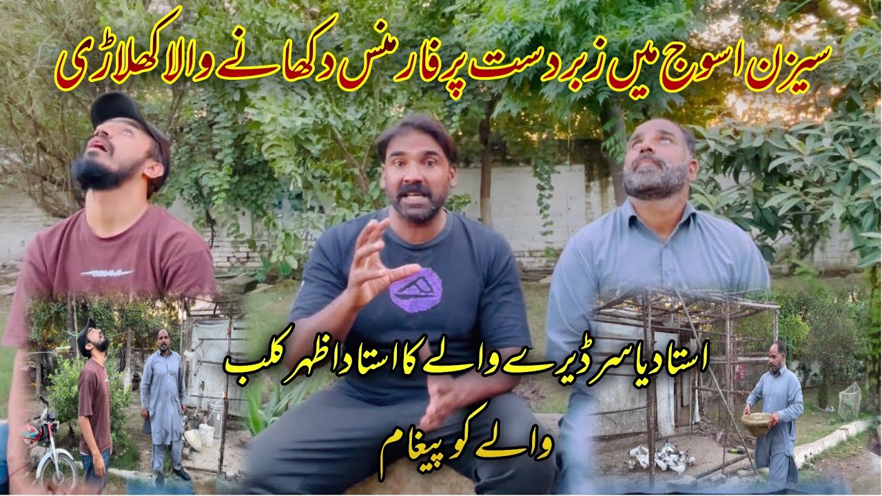 Ustad yasir daray waly ki ai Zabardast performance 👌|| Ustad ch kamran ...