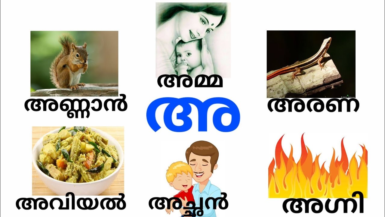 Malayalam aksharangal | alphabets for beginners | Malayalam aksharamala ...