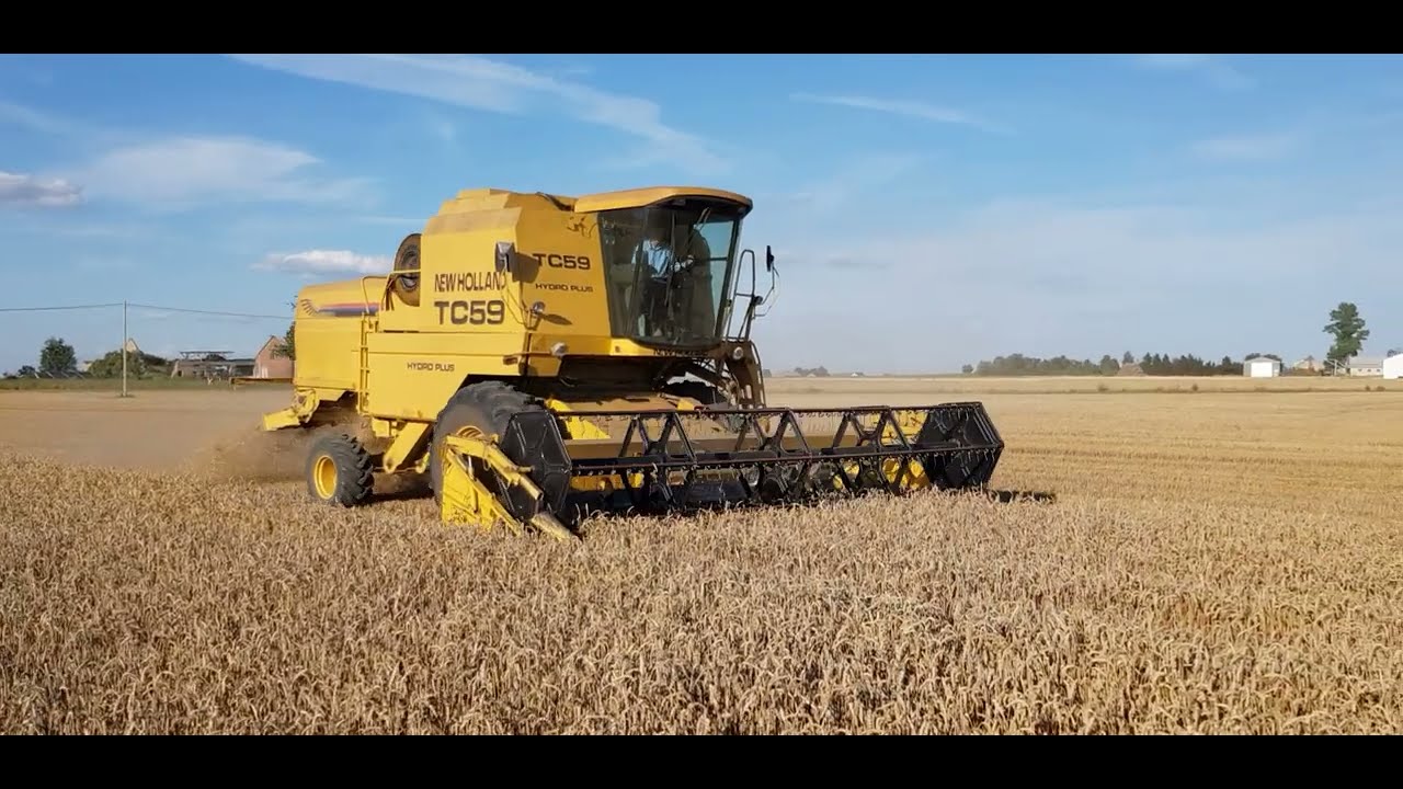 New Holland TC59 Żniwa 2022 u Turborolnika - YouTube