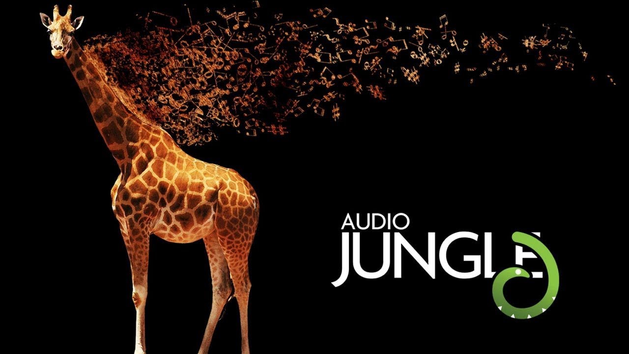 Music - Calm Technology | AudioJungle Download - YouTube