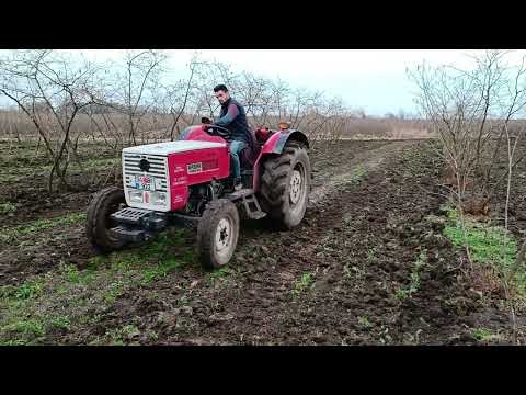 FINDIK BAHÇESİ TESVİVE - BAŞAK 2050 - 2080