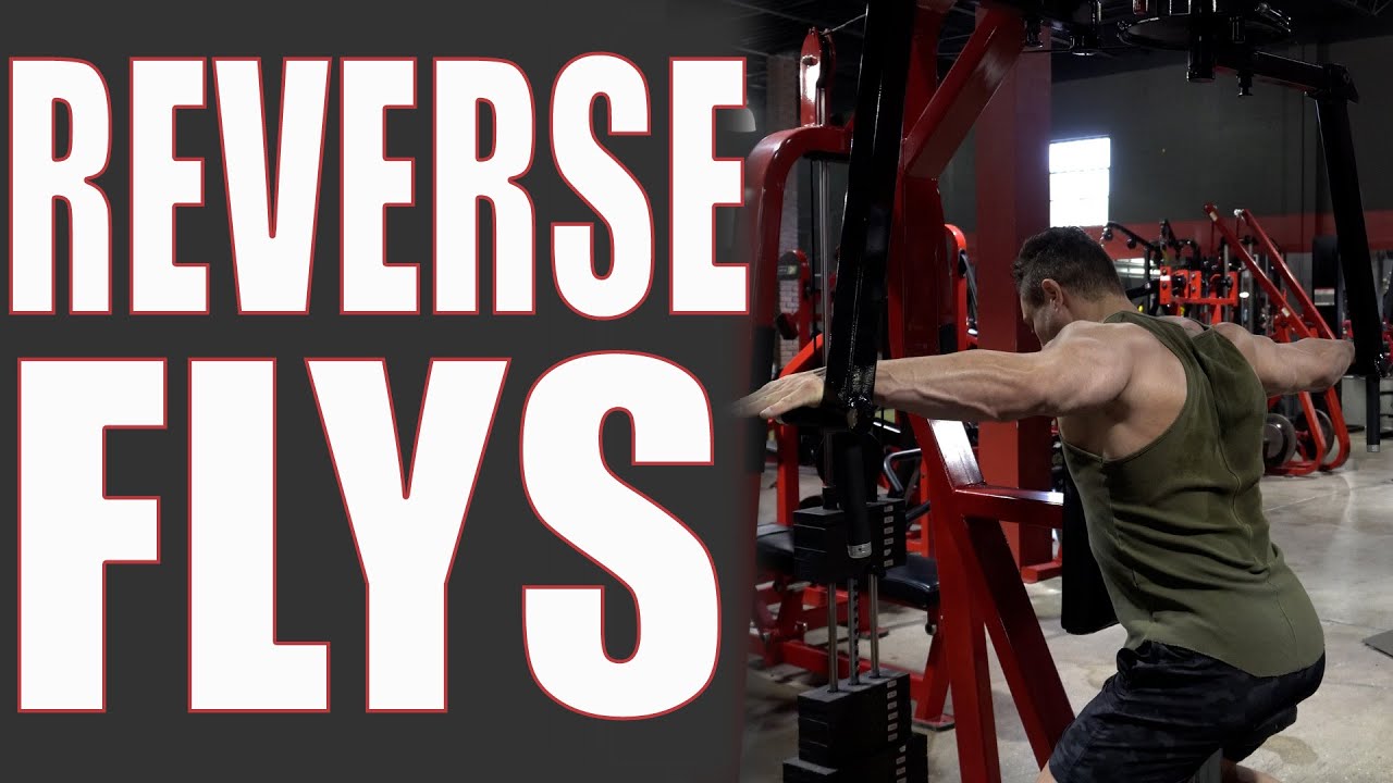 Reverse Flys | How To - YouTube