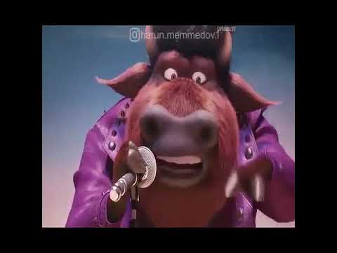 Gülməli pirkol bəyənməyi unutmayın