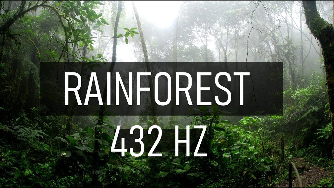 RELAXING | Amazon Rainforest Sounds In 342 Hz - YouTube