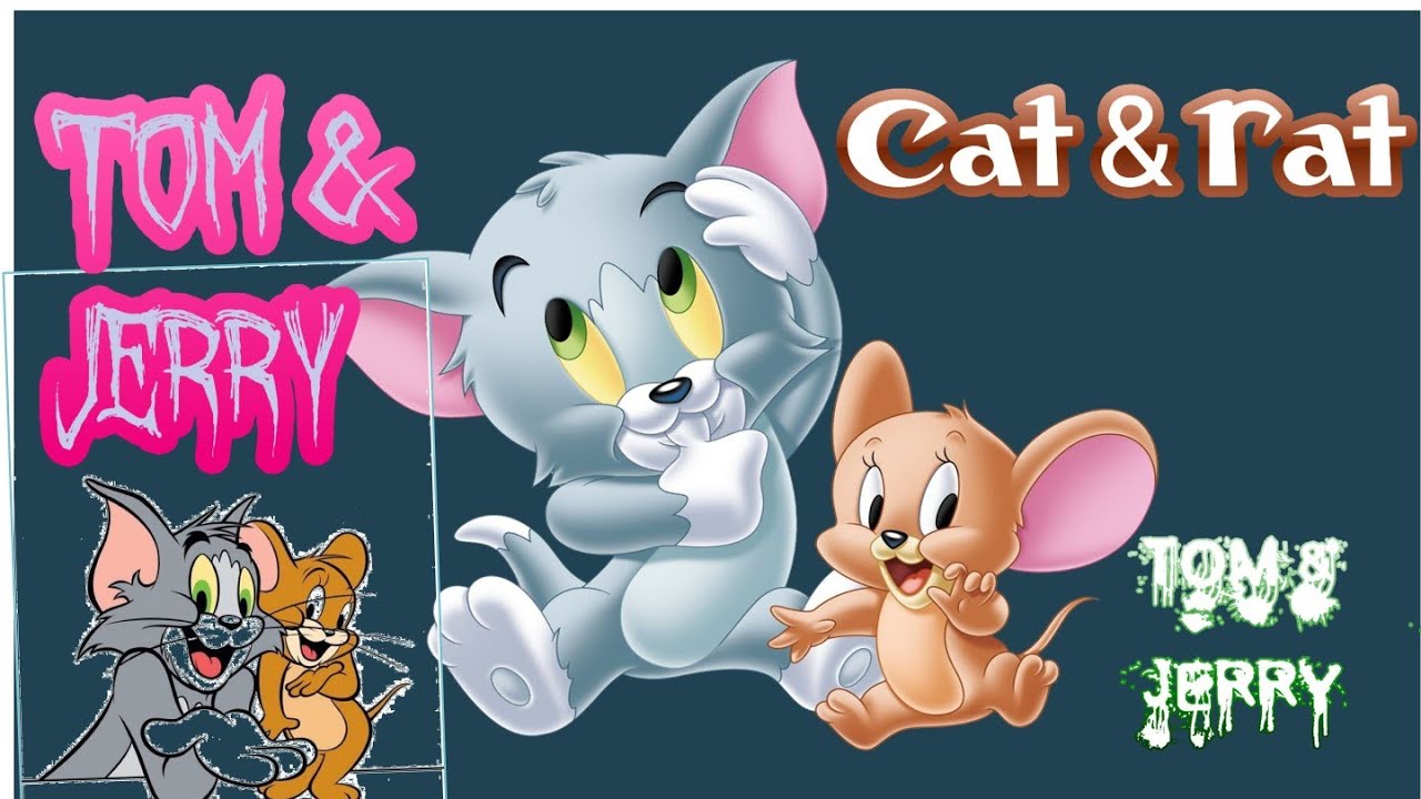 Cat & Rat. tom & jerry - YouTube