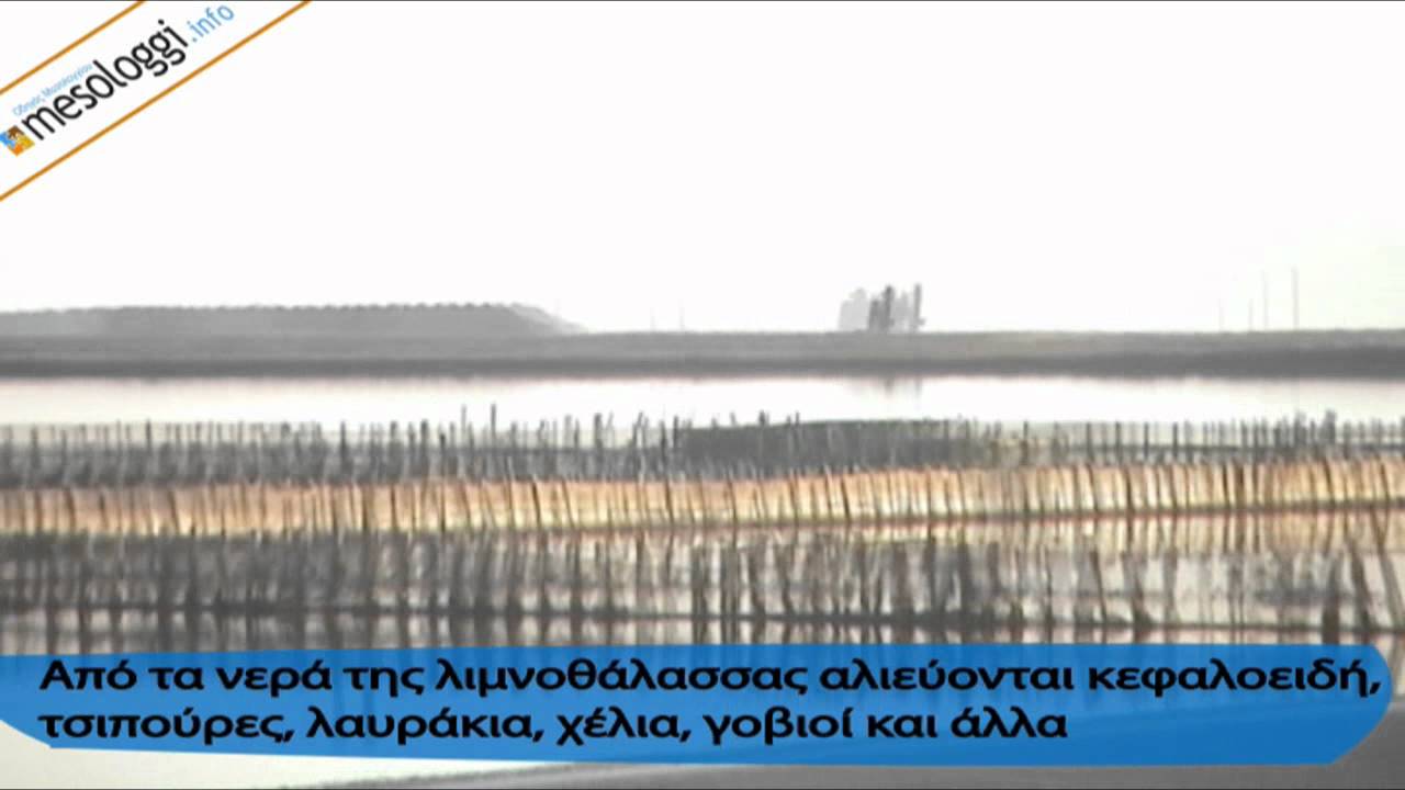 Λιμνοθάλασσα Μεσολογγίου - Αιτωλικού - YouTube