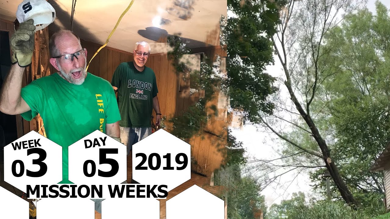 Bringing Down a Large Tree | CE Mission Weeks 2019 - YouTube