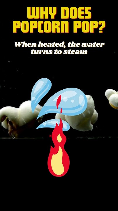 Why does popcorn pop? - YouTube