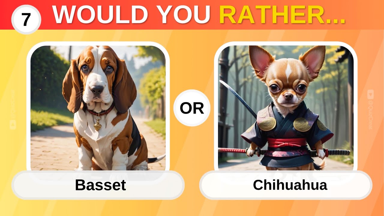 Would You Rather: DOG EDITION! 🐶 ️ 🐶 🐶 🐕DOG BREED EDITION🐶 - YouTube