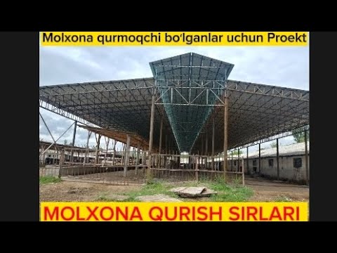 MOLXONA QURILISHIGA BAHO BERAMIZ. 100/Bosh 🐄 Molga Moʻjallangan MOLXONA ...