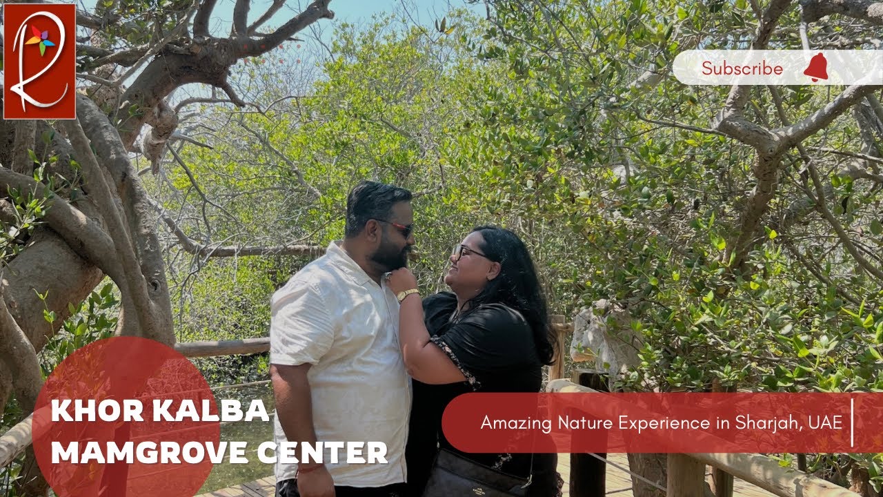 🌿 Exploring the Khor Kalba Mangrove Centre | A Hidden Natural Gem in ...
