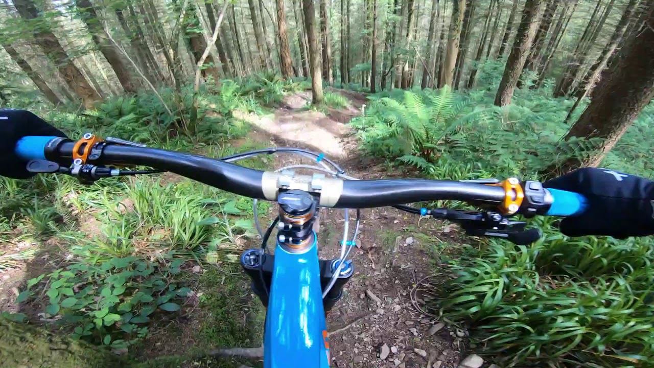 First full bins run - YouTube