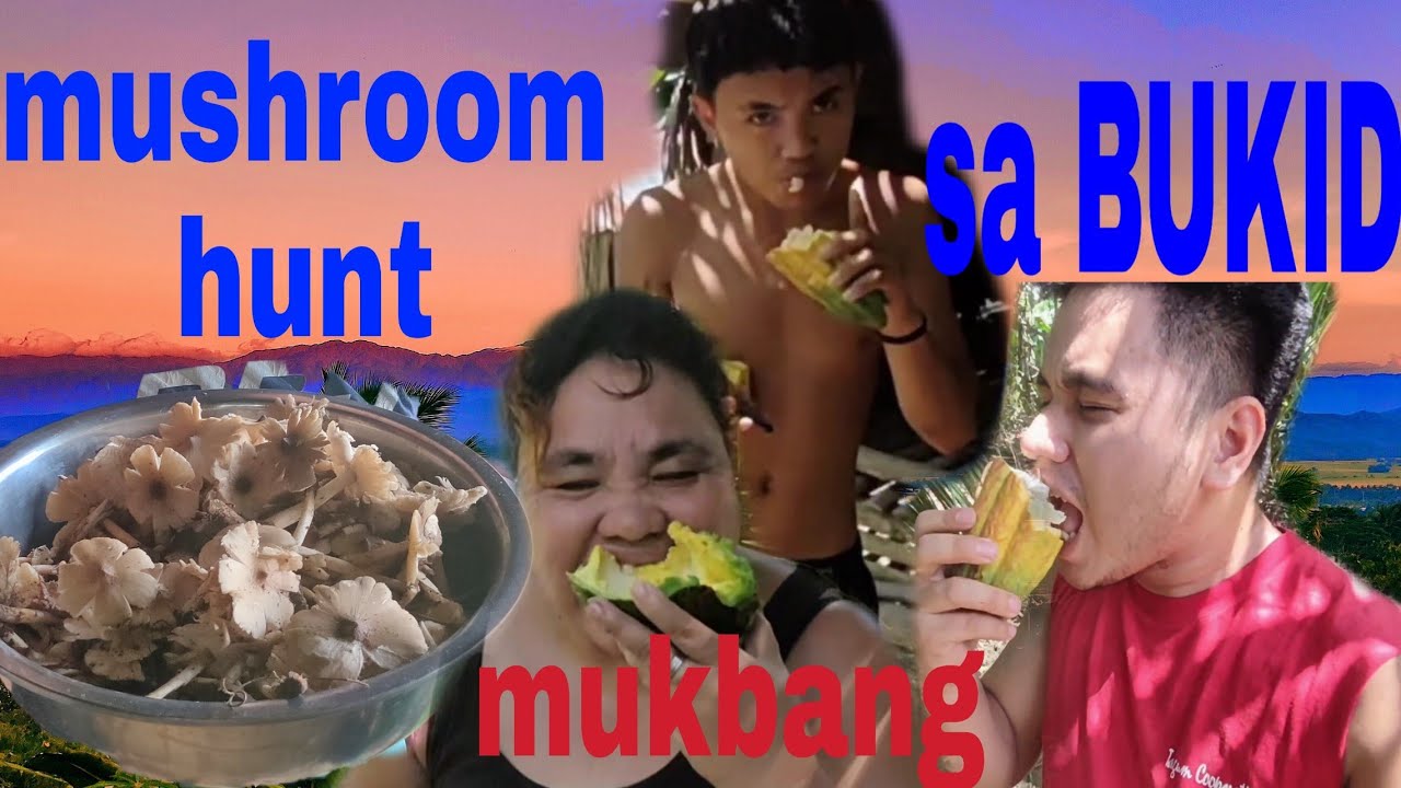 PART 1 | HOW TO FIND MUSHROOMS | MUSHROOM HUNTING WITH FRUITS MUKBANG ...