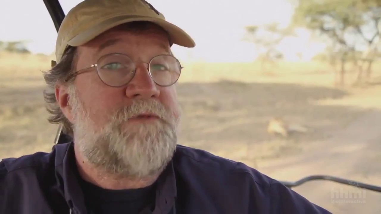 Evolution Of Man Documentary Channel - Great Transitions The Origin of ...