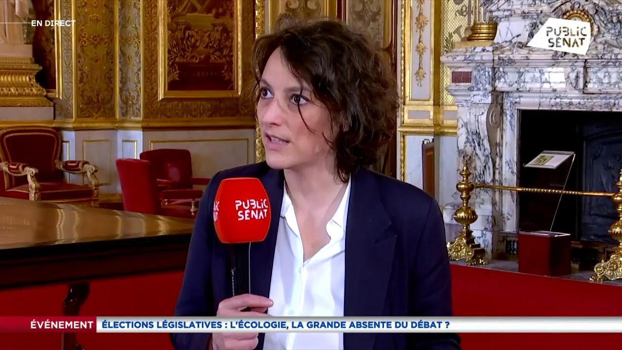 Propos d'Emmanuel Macron sur les personnes trans : "C'est à gerber", s ...