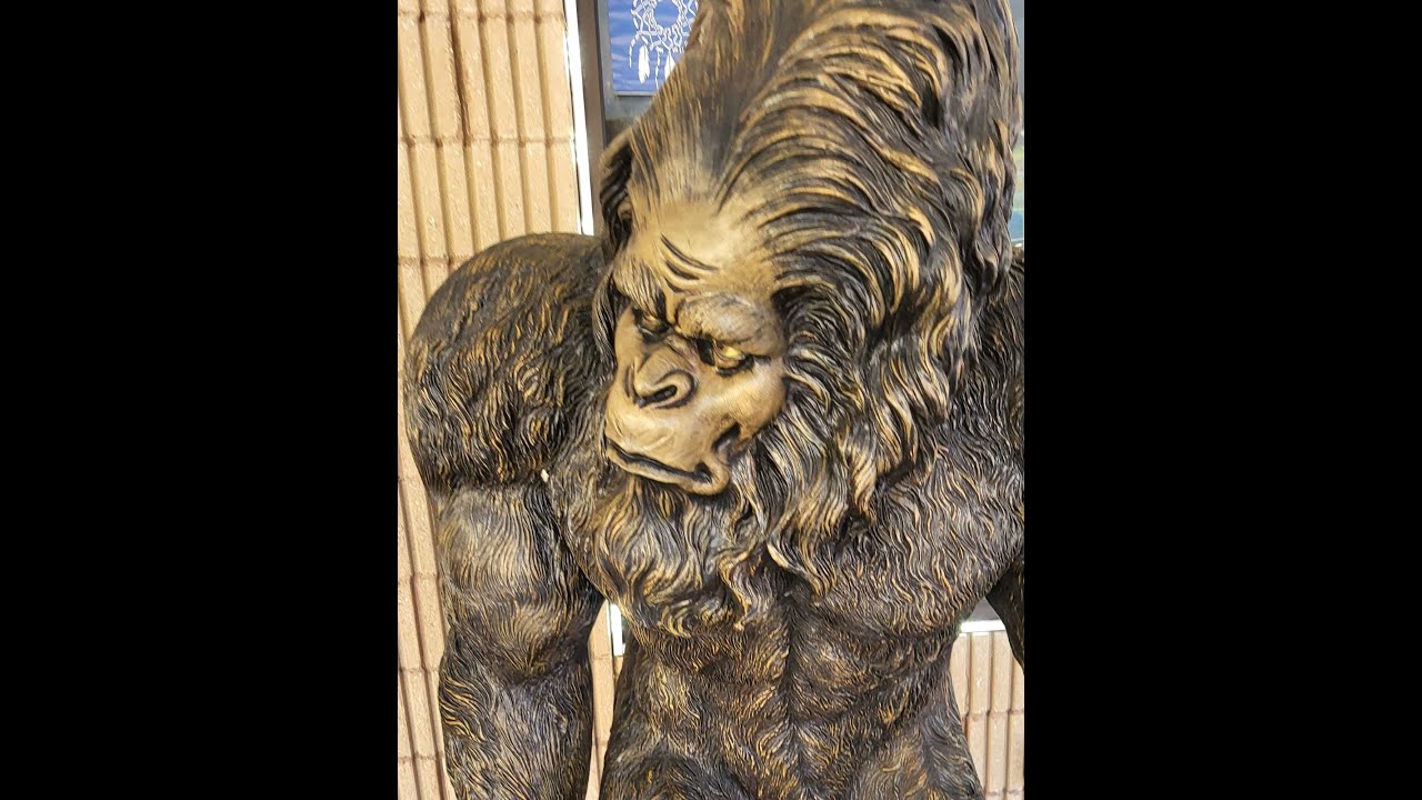 BIGFOOT HUNNTING IN NORTH CAROLINA - YouTube