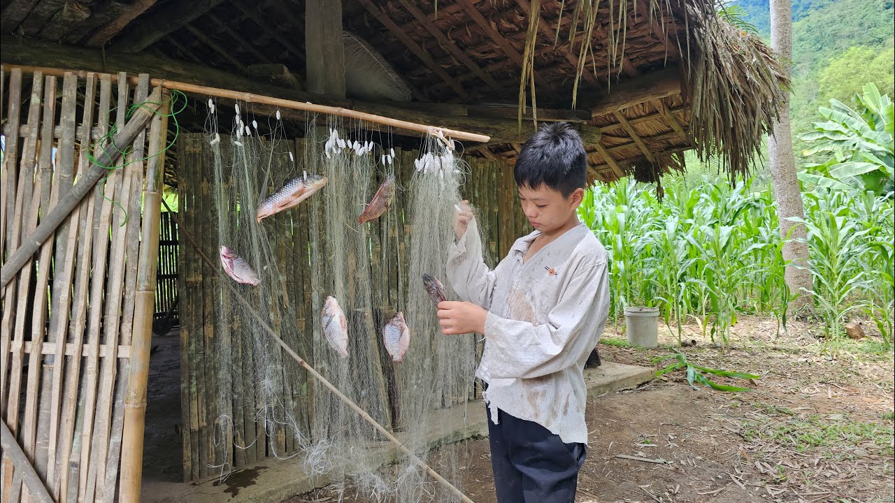 Orphan Boy - Fishing, casting nets to catch fish to sell to make a ...