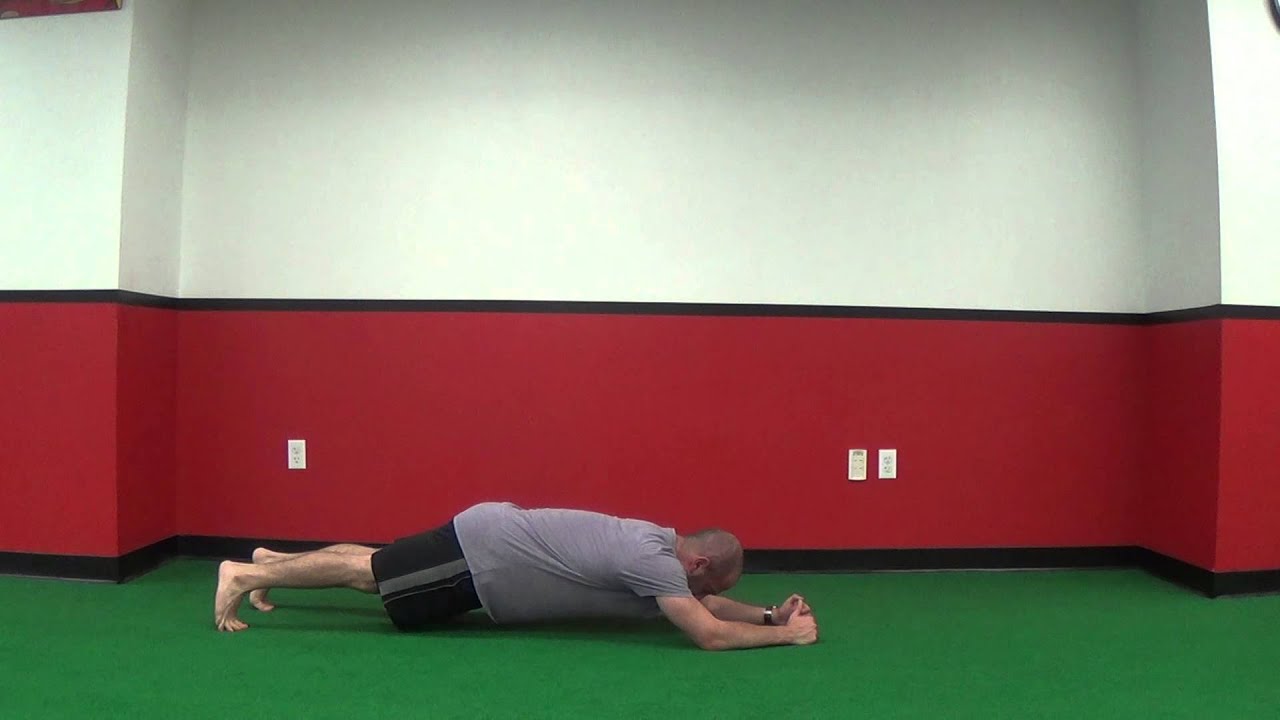 Long Lever Plank - YouTube