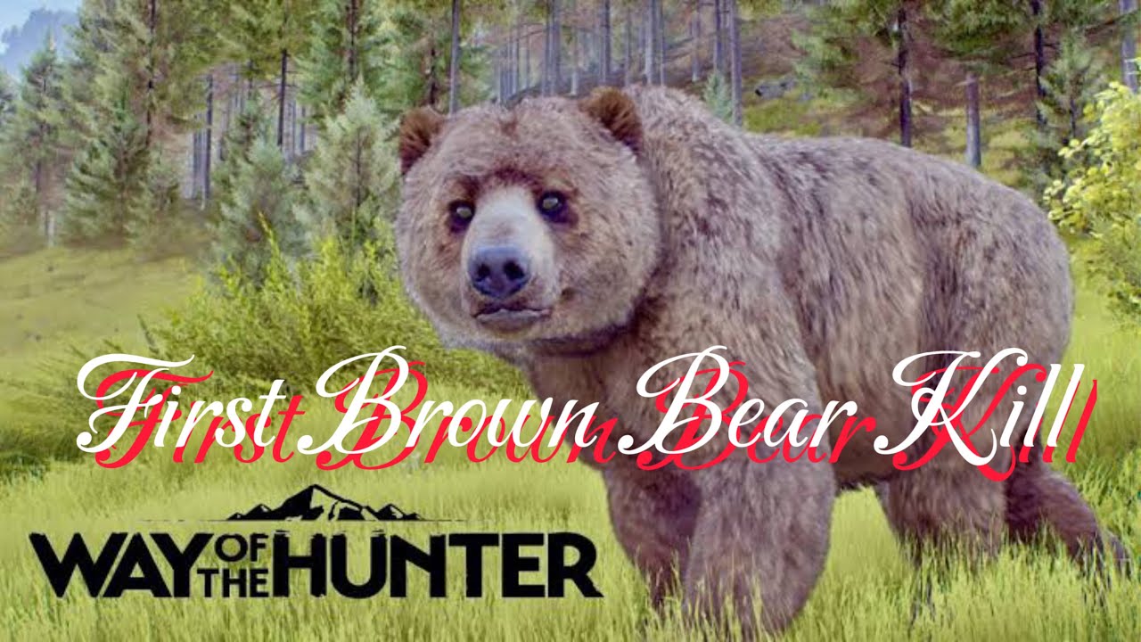 Way Of The Hunter PS5..First Brown Bear Kill (Tough Bugger) - YouTube