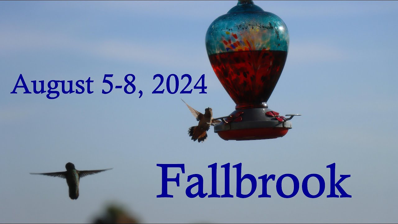 Fallbrook, August 2024 - YouTube