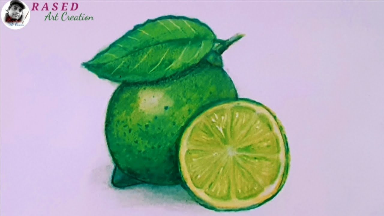 How to draw a lime step by step with colour pencil/ realistic fruit ...