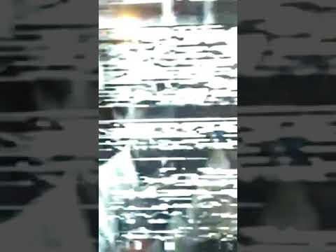 Şəhid qardasim Qədirxanin bal avazi (((((