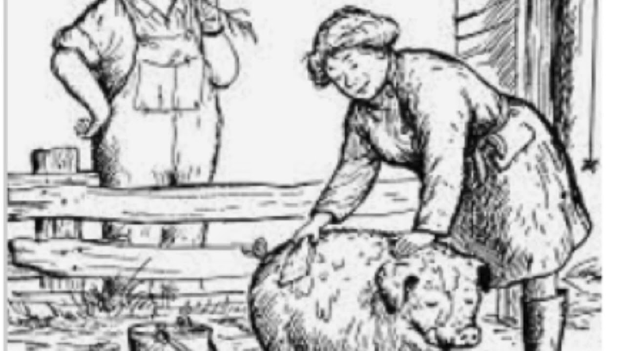 Chapter 16 Charlotte's Web - YouTube